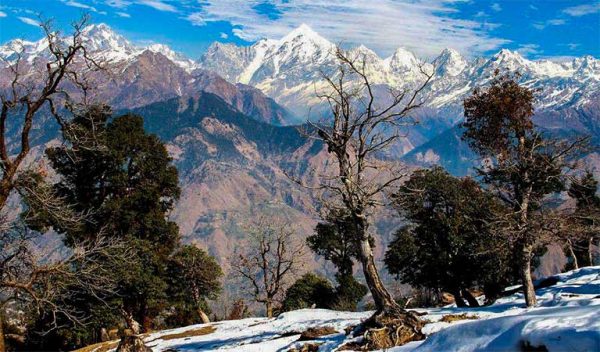 Askot Musk Deer Sanctuary Uttarakhand | Askot Wildlife Sanctuary