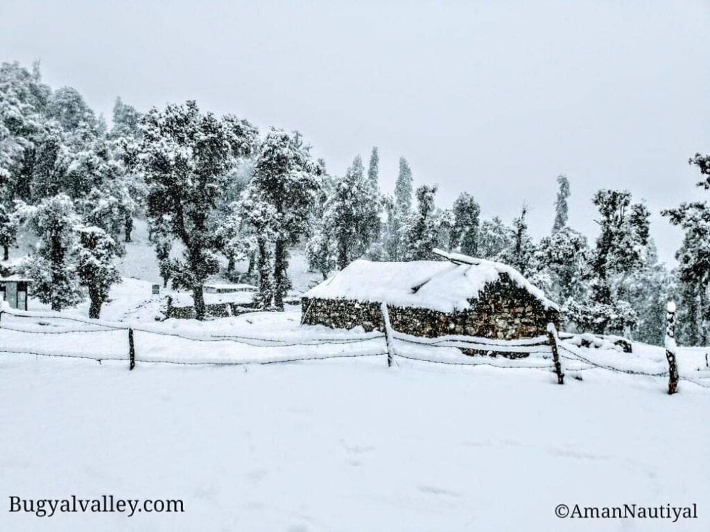 Chopta - Places To Visit, How To Reach, 5 Best Things To Do